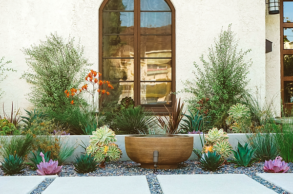 Numa Gardens | Landscape Design+ Build | Bay Area