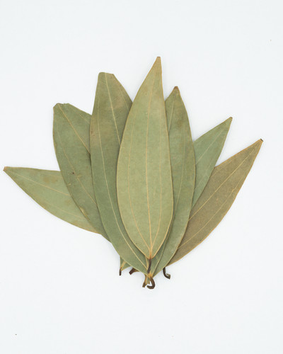 Indian Bay Leaf | The Spice Merchant