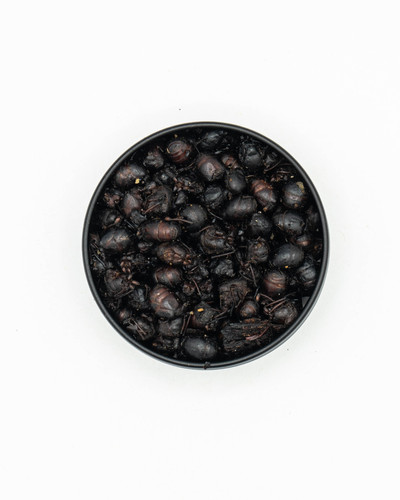 Chicatana Ants | The Spice Merchant