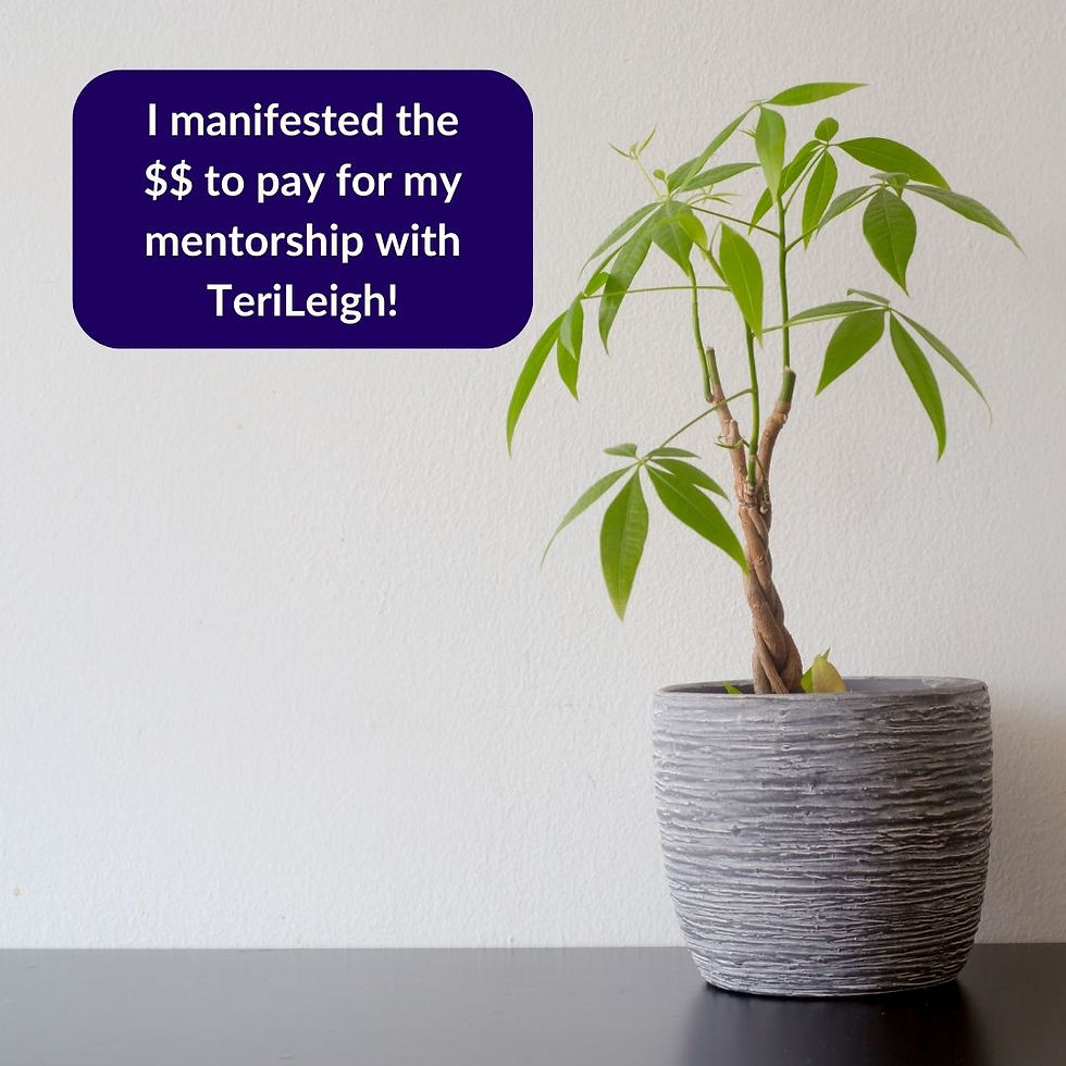 The Money Tree - Abundance & Manifestation - Success Story