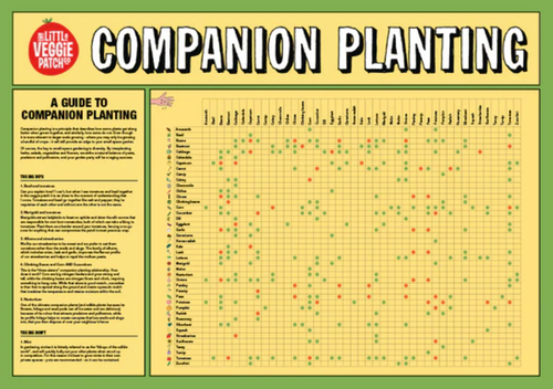 Companion Planting Chart | Urban Green Farms | South Yarra | Australia