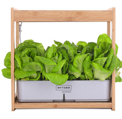 Mini Urban My Farm | Urban Green Farms | South Yarra | Australia