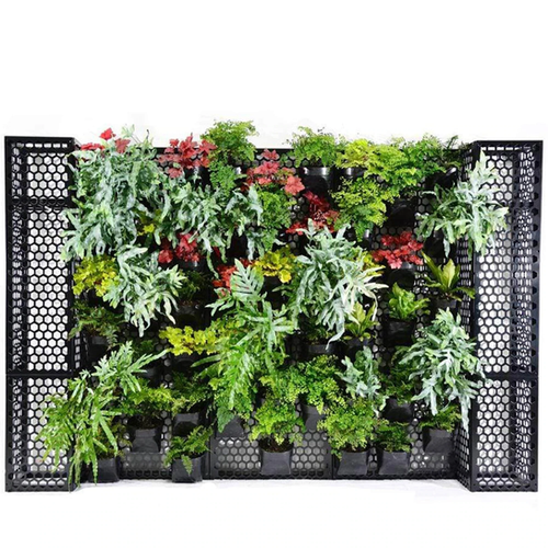 Vertical Plant Wall | Urban Green Farms | South Yarra | Australia