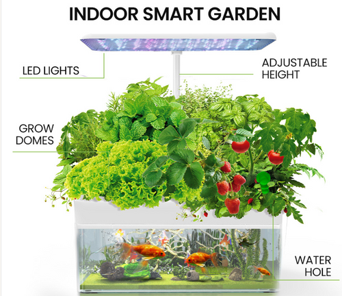 Mini Aquaponic System |Urban Green Farms |Croydon South| AU