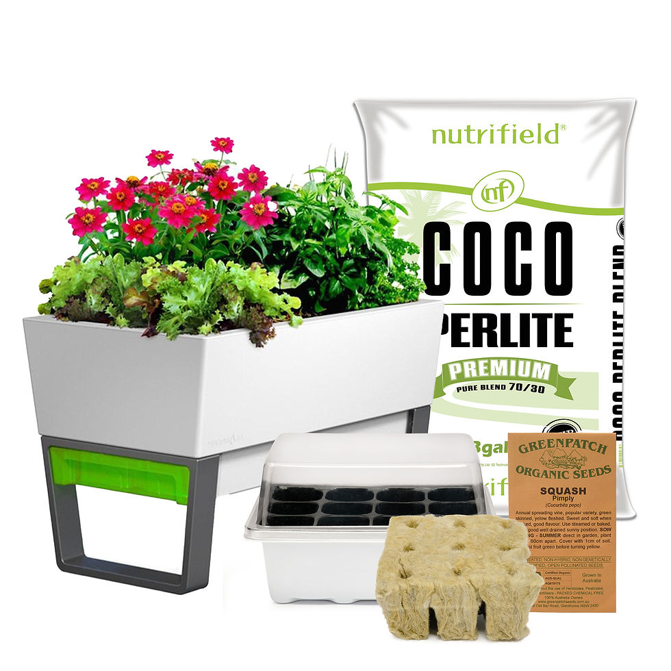 Self Watering Planter Bundles | Urban Green Farms | South Yarra | Australia