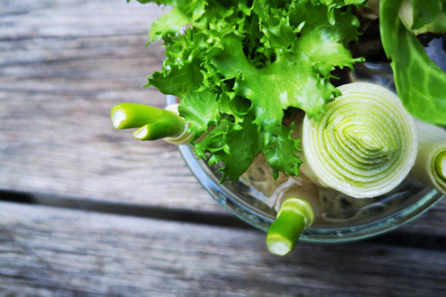 How To Regrow Food Scraps | Urban Green Farms | South Yarra | Australia