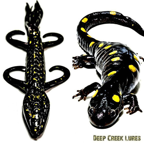 Skirted Lizard | Deep Creek Lures