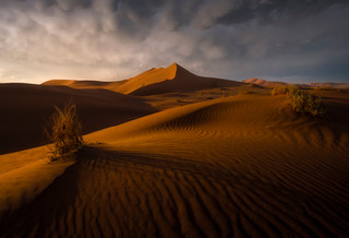 Deserts | Ryan Dyar