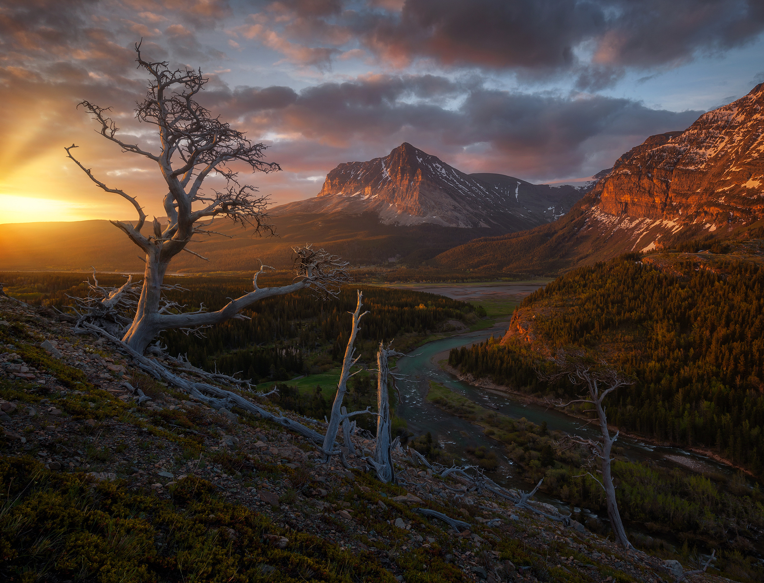 Mountains | Ryan Dyar