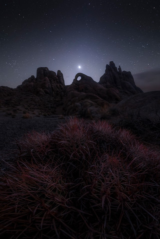 Deserts | Ryan Dyar