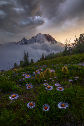 New Work | Ryan Dyar