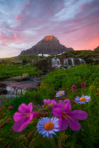 New Work | Ryan Dyar