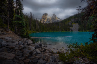 New Work | Ryan Dyar