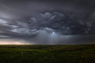 New Work | Ryan Dyar