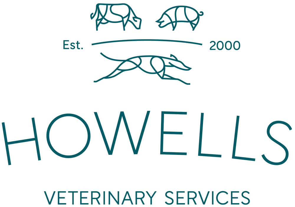 HOWELLS VETERINARY SERVICES LTD. Your independent veterinary practice in the Easingwold area
