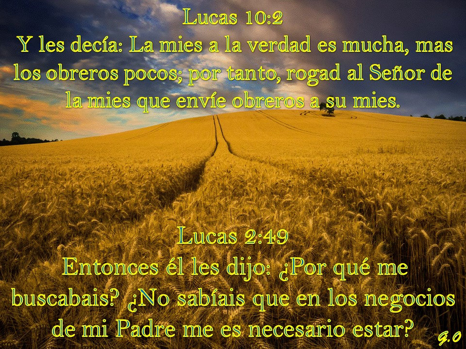 LA MIES