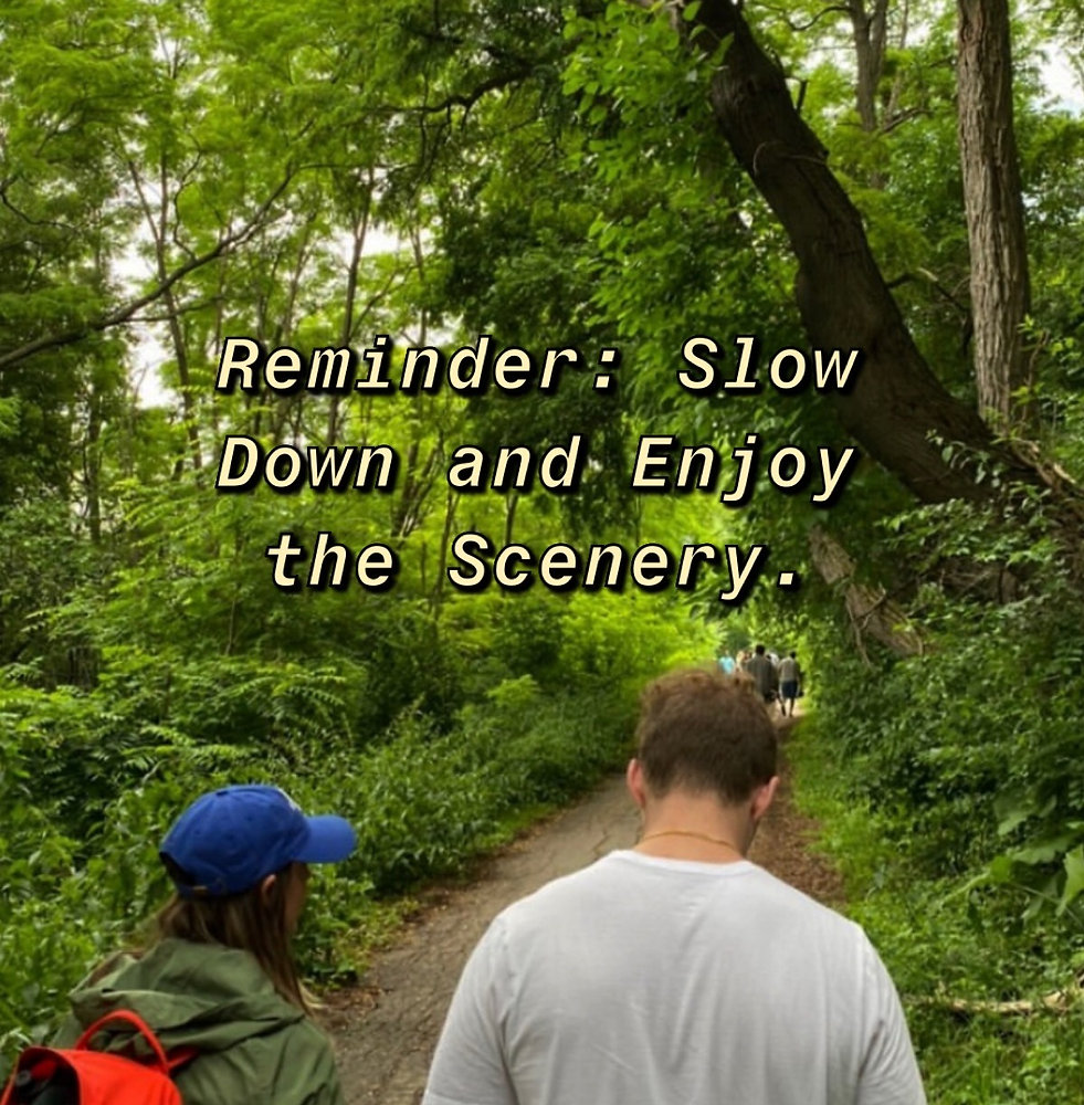 Slow Down and Enjoy the Scenery
