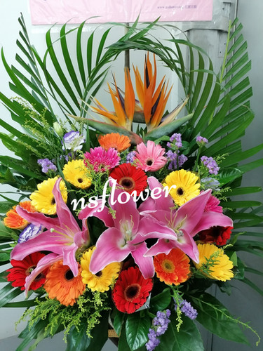 FBA-019 高腳開張花籃 | nsflower