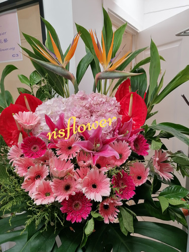 FBA-072 高腳開張花籃 | nsflower