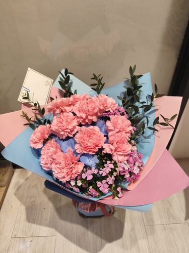 MBC-044 12支粉康乃馨綉球花束 | nsflower