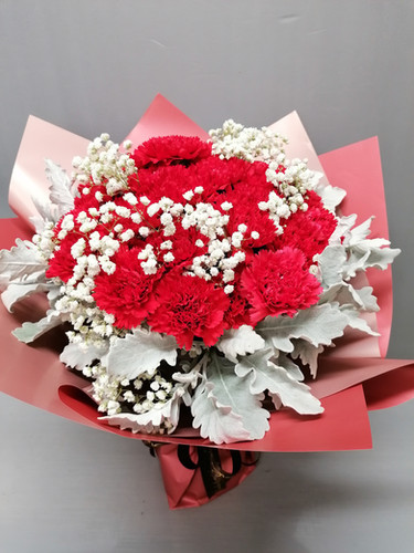 MBC-031 28支紅色康乃馨滿天星花束 | nsflower
