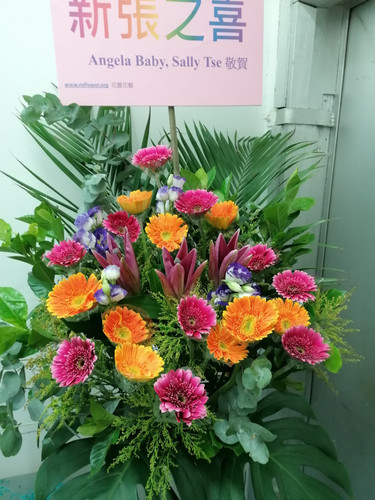 FBA-027 高腳開張花籃 | nsflower