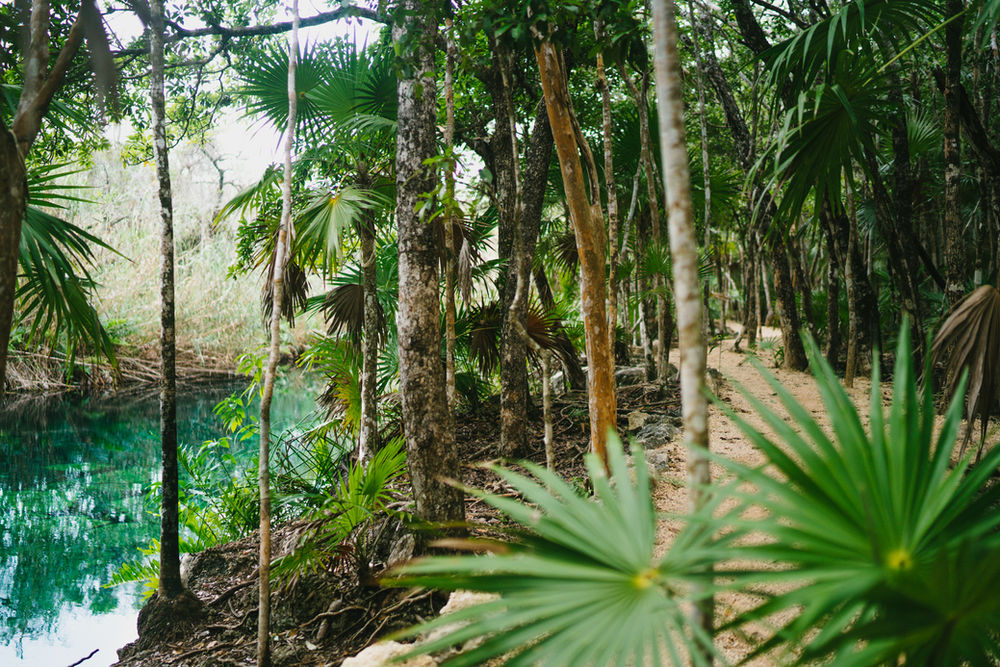 Cenote Escondido y Cenote Cristal, Tulum