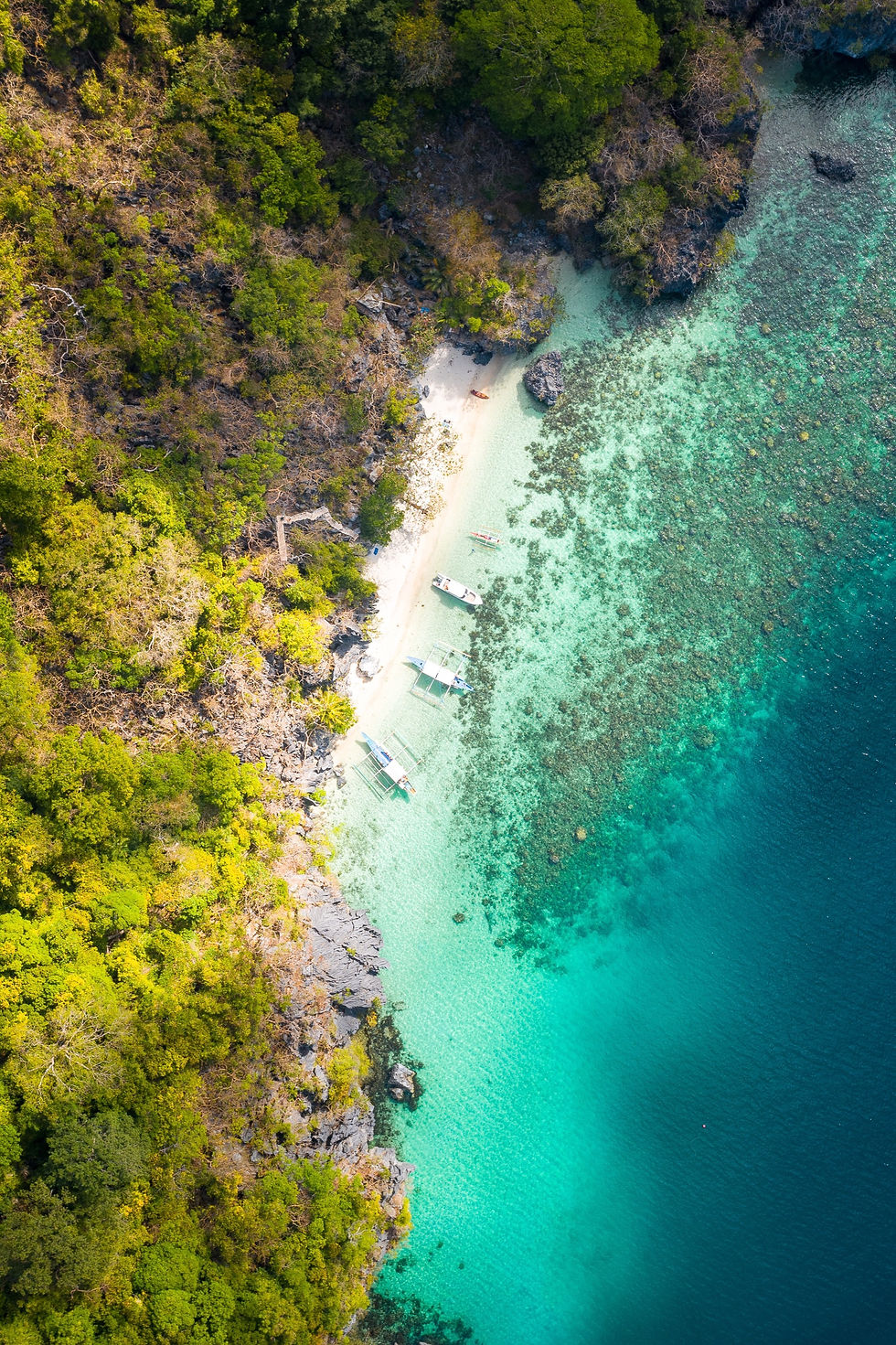 7 Lugares imprescindibles que ver en Palawan, Filipinas