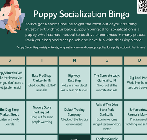 Puppy Socialization Bingo | Wiserdog