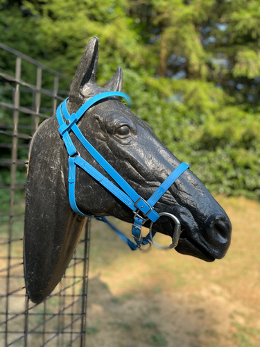 Custom Bundle: Beta/Biothane Halter and Snap On Bridle | American Trail ...