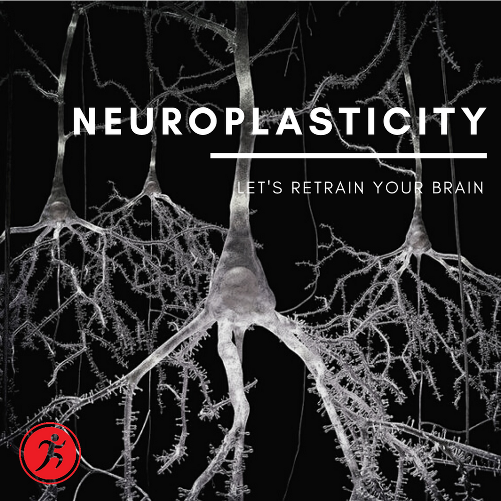 Neuroplasticity & Chronic Pain