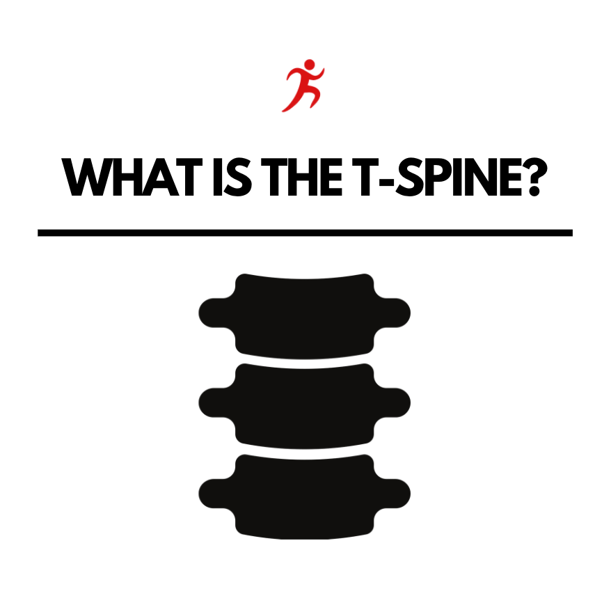 What is the T-Spine?
