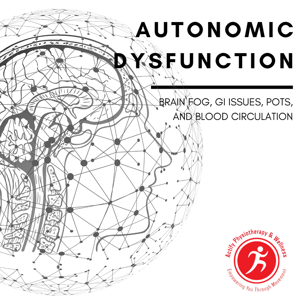 Understanding Autonomic Dysfunction in hEDS | ActifyPT