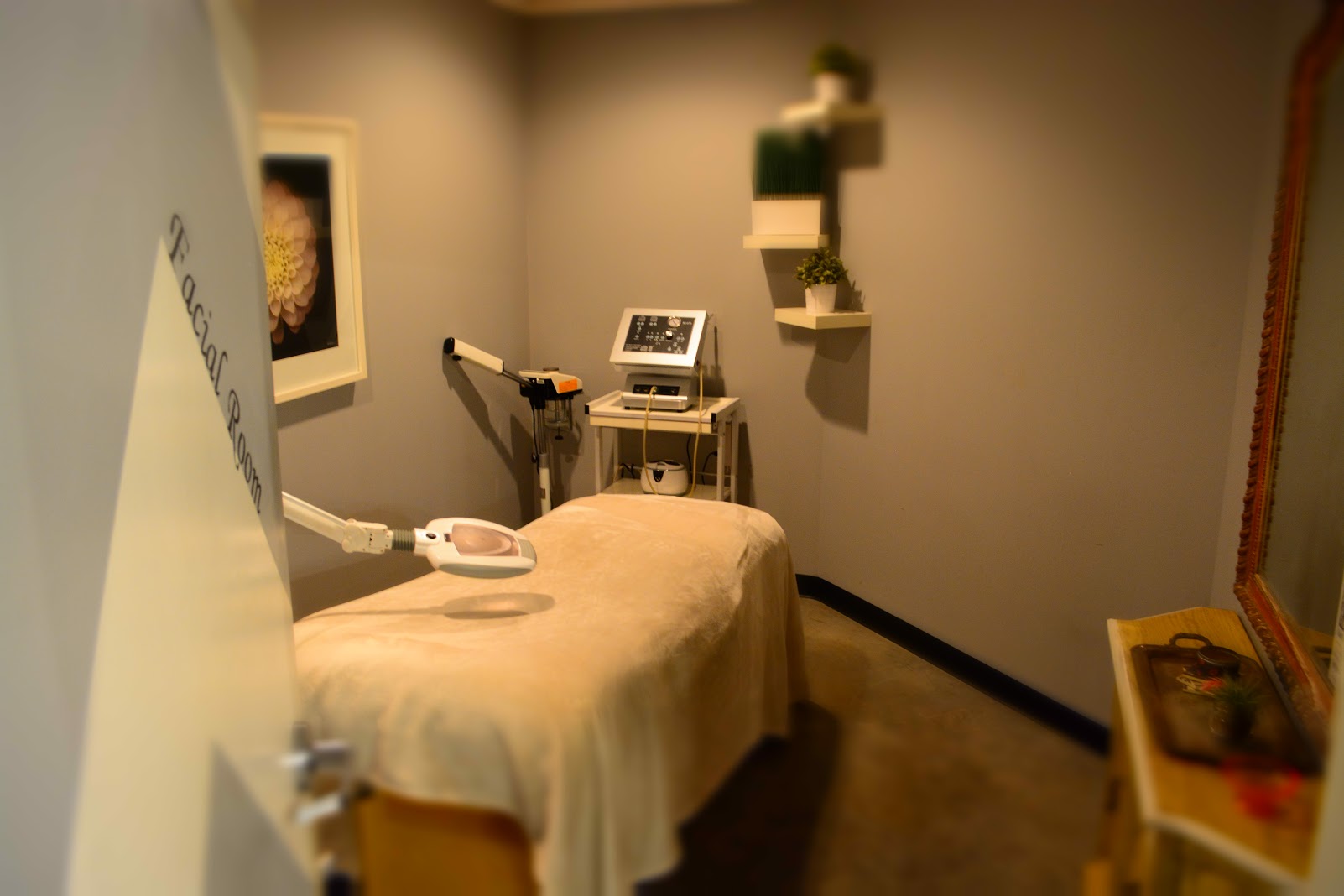 Salon Gallery | Red Stella Hair Salon