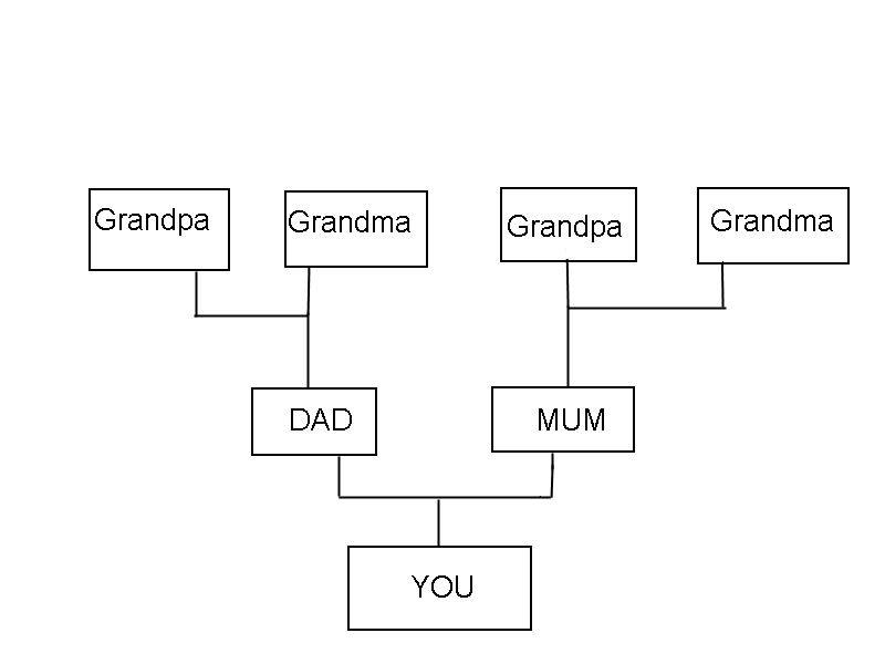 How to Get Started With Your Family Tree…