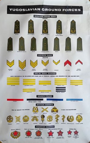 Yugoslav Ground Forces Rank Insignia Poster (1966) From US Army ...