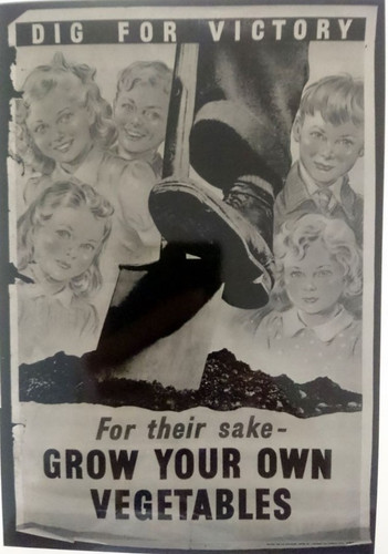 Photo of ANZAC Propaganda Poster (c.WWII) | Tally Ho Chap