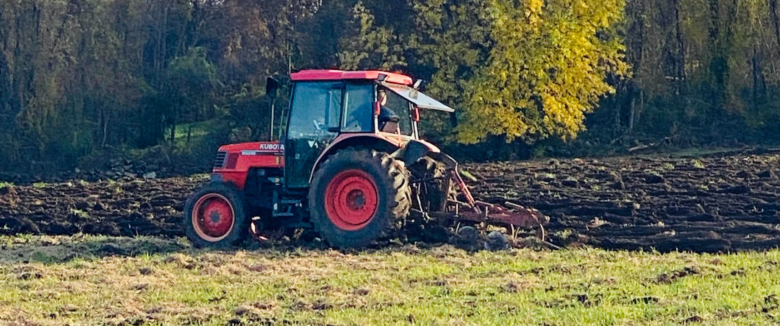 Field Reseeding | RBowEnterprises