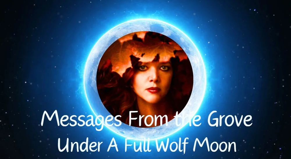 Discover Messages From the Grove on a Full Wolf Moon