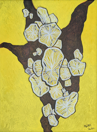 Yellow Dance II | In-Ah