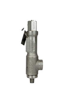 BROADY TYPE 3600 SAFETY RELIEF VALVE | Broady Flow Control