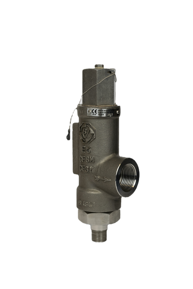 BROADY TYPE 2600 SAFETY RELIEF VALVE | Broady Flow Control