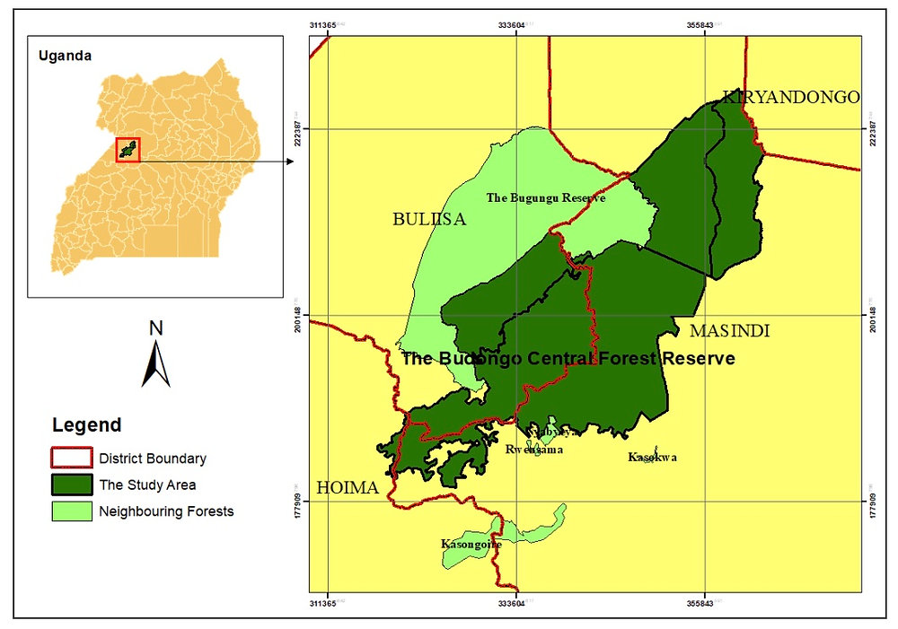 Assessing Forest Cover Changes Using the Digital Earth Africa Sandbox ...