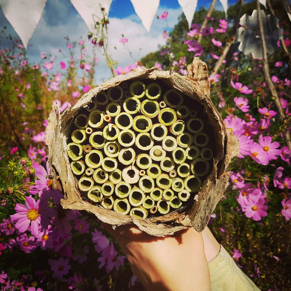How to Make Native Bee Hotels