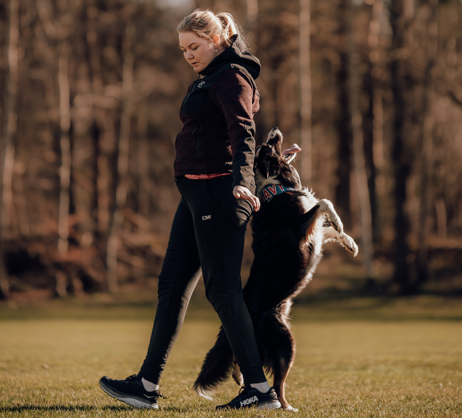 Dog Training | Dancingk9