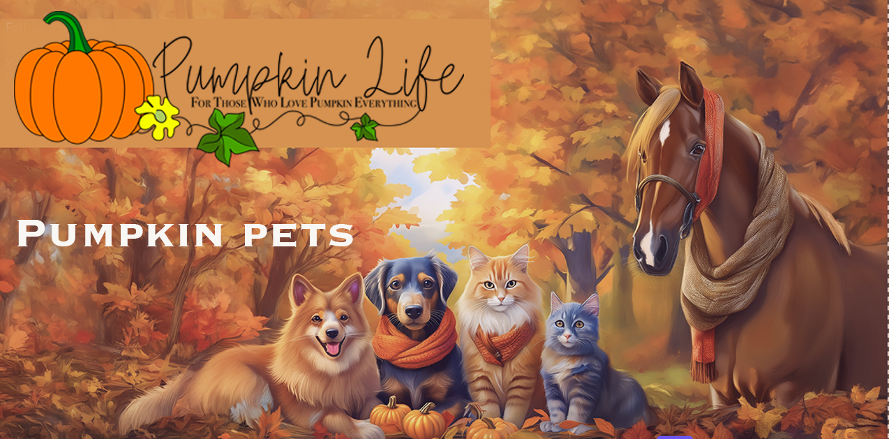 Pumpkin Pets | Pumpkin Life
