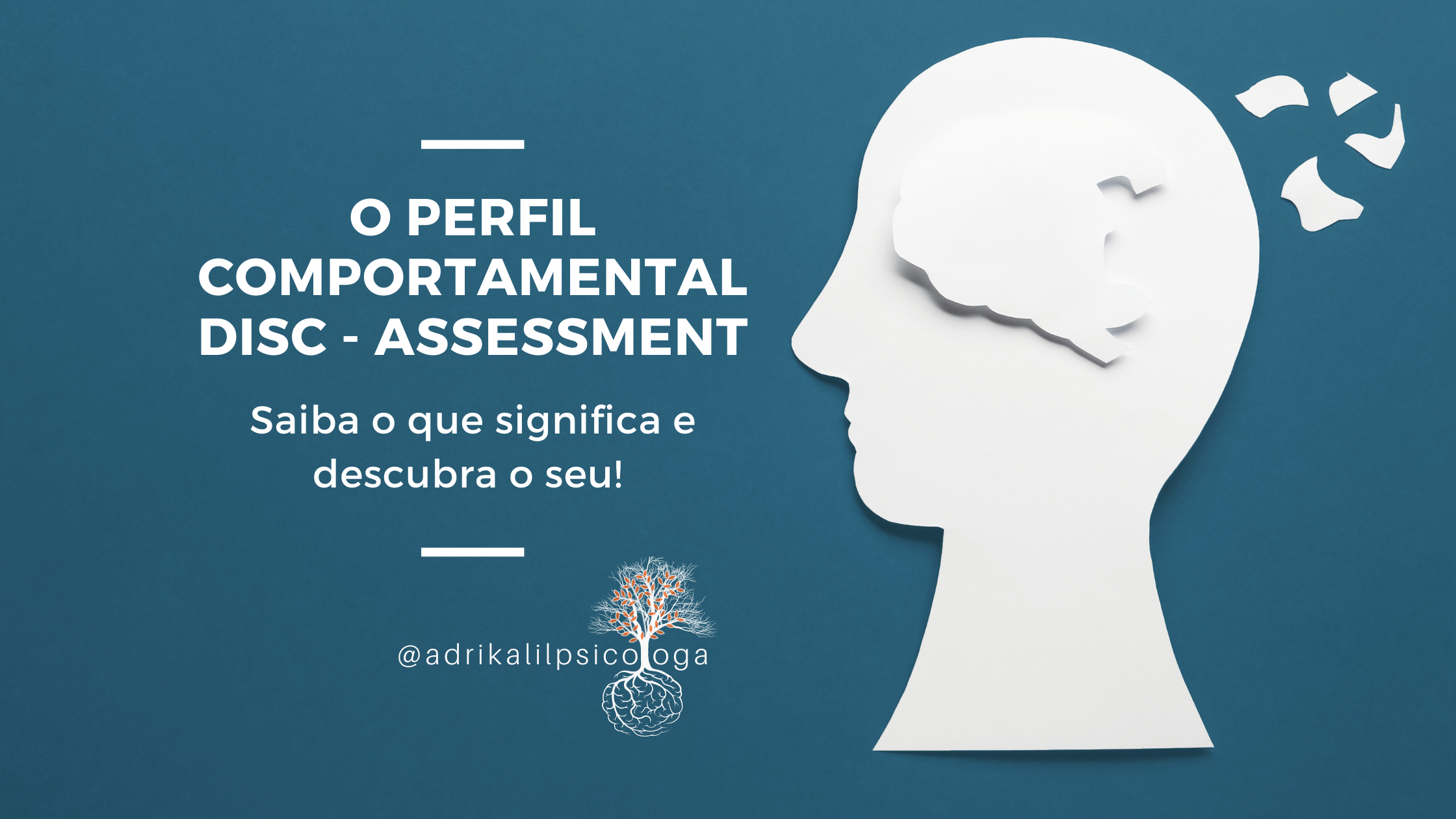 Mapeamento perfil comportamental DISC - Assessment, saiba o que significa!