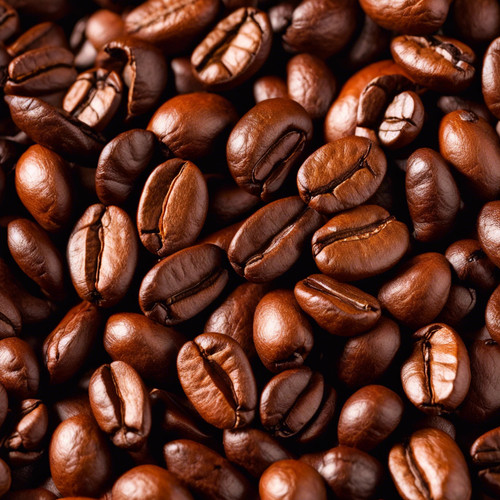 All Products | The Daily Brew