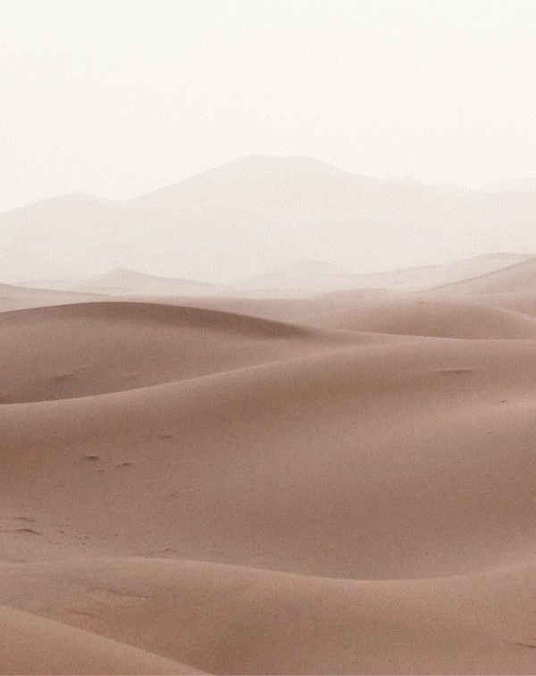 6 Week RESET Program | Luxewellness