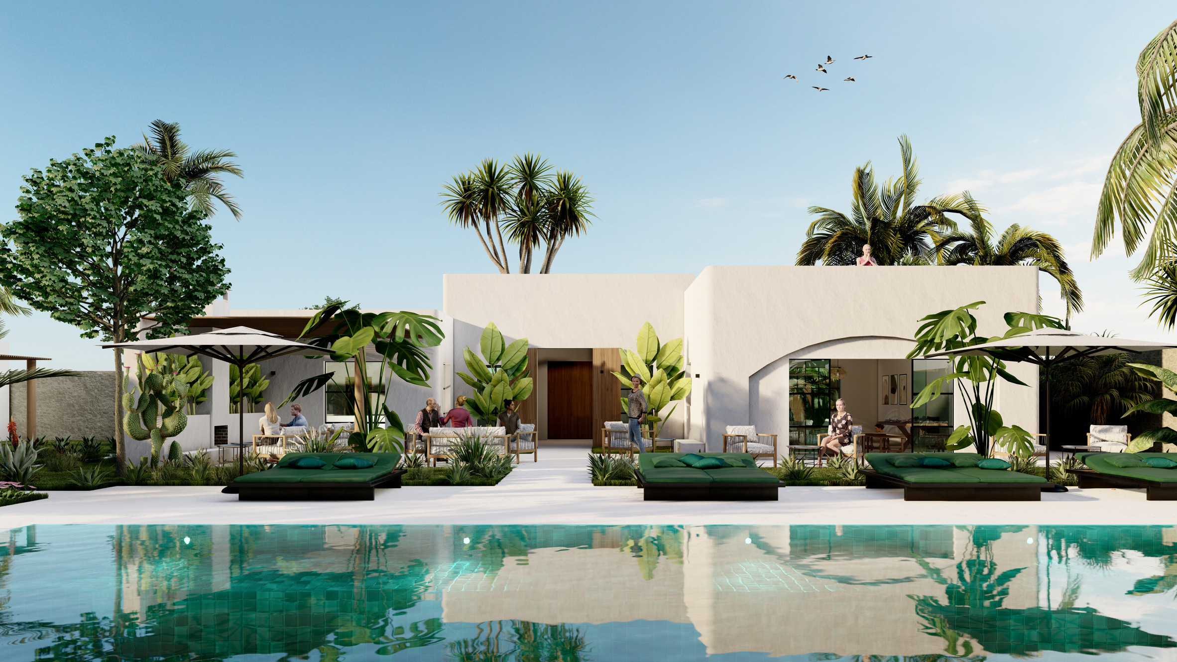 A propos | Maison Flamingo